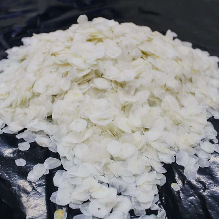 Sisik - Regal Springs Indonesia