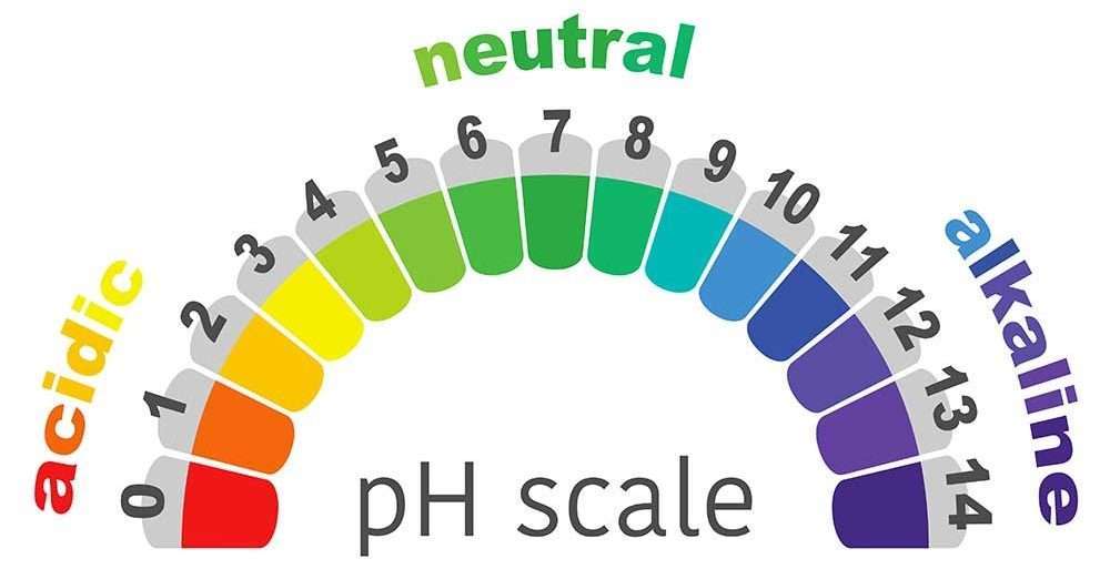 7 Water Quality Indicators for Producing the Best Nile or Tilapia Fish ...