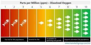 7 Water Quality Indicators for Producing the Best Nile or Tilapia Fish ...